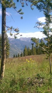 Upper Fireweed Hiking Trail, Vail, Colorado